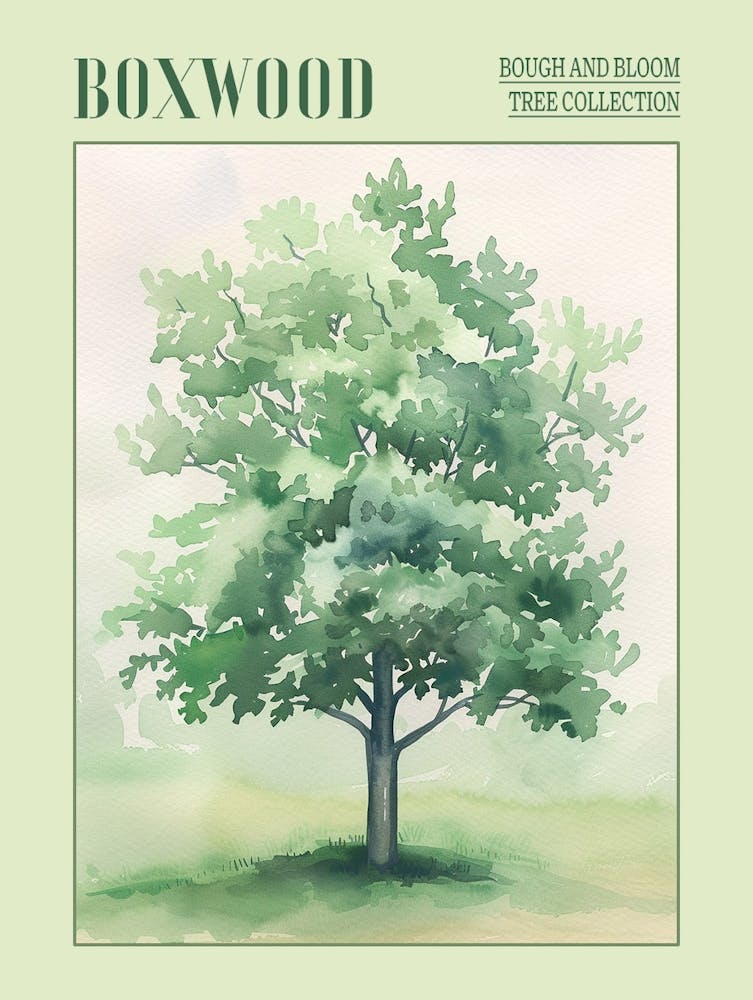 Boxwood Tree Atmospheric Watercolour Painting 4 Poster Art Print by ...