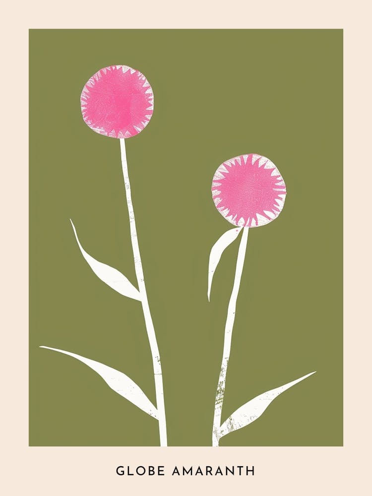 Pink & Green Globe Amaranth 1 Flower Poster Art Print by Botanic Studio ...