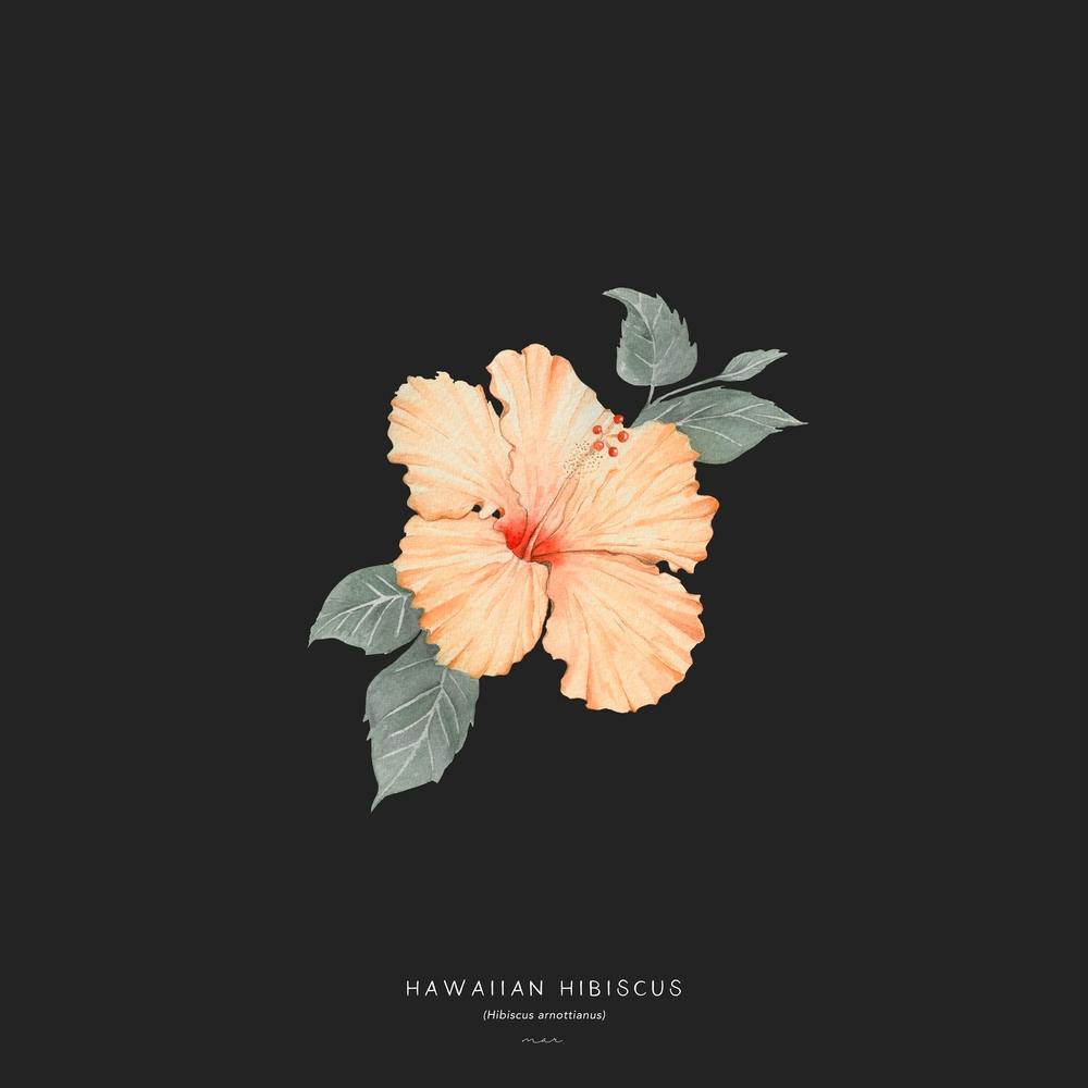 Hawaiian Hibiscus Square Art Print by Marcela Picinin – Fy!