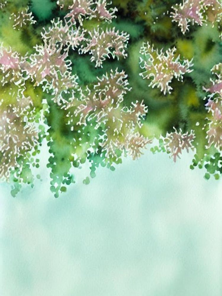 Acropora Tenella Iiii Storybook Watercolour Art Print by Reef ...