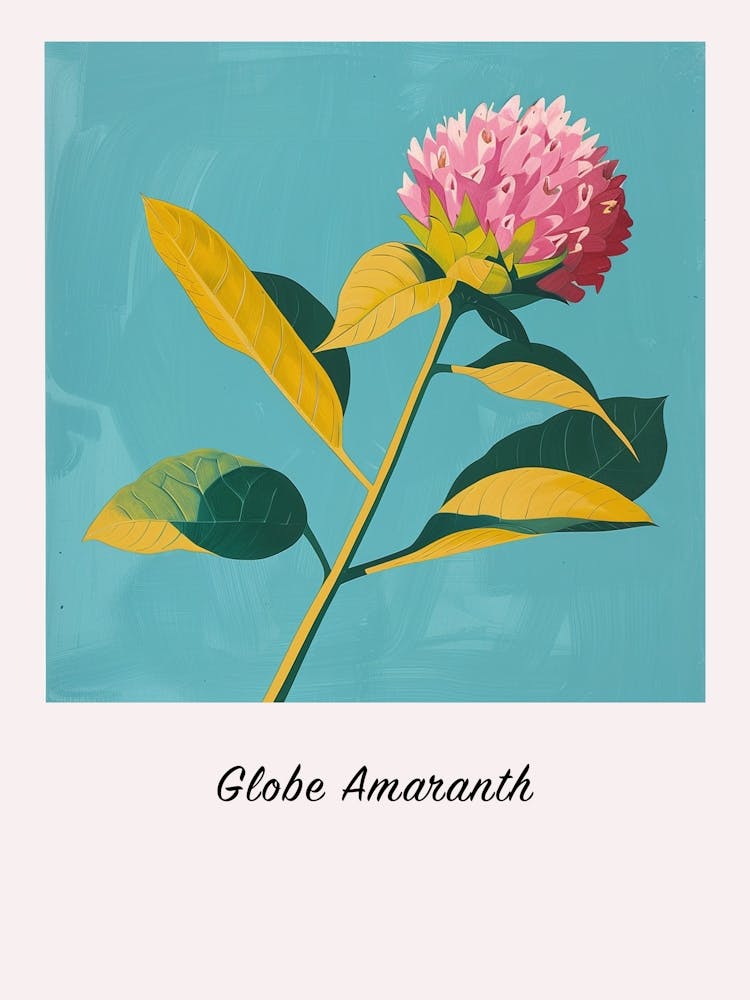 Globe Amaranth Square Flower Illustration Poster Art Print by Botanic ...