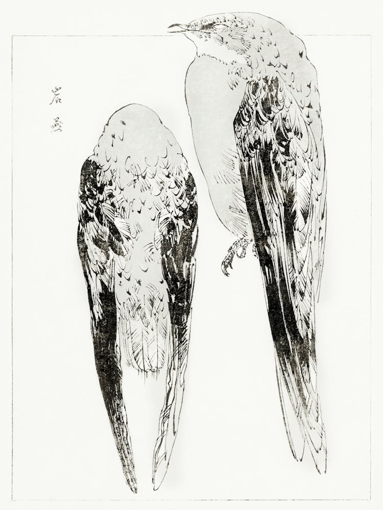 Asian Martin, Illustration From Bijutsu Sekai (1893 1896), Watanabe ...