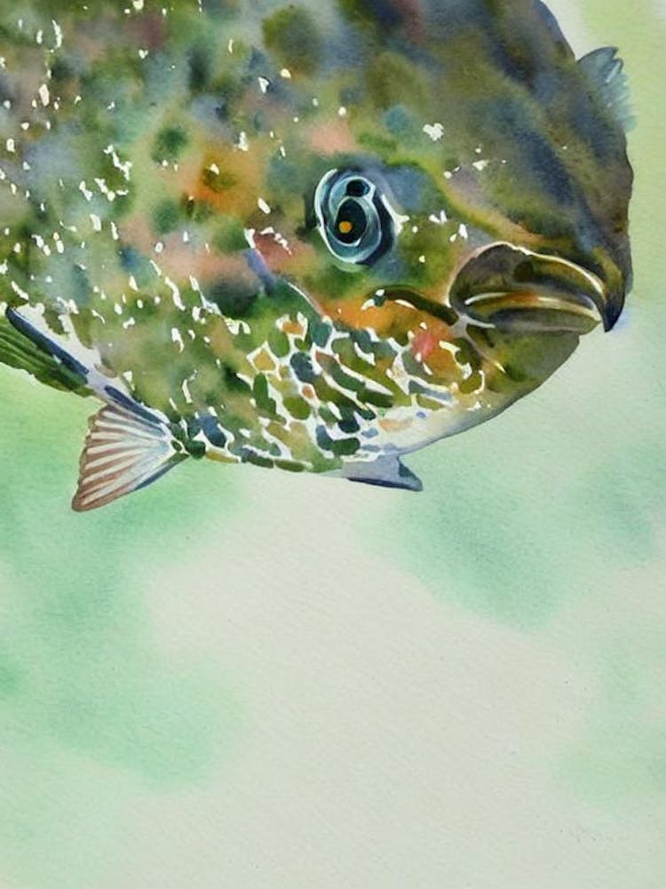 Grouper II Storybook Watercolour Art Print by Sea Life Prints – Fy!