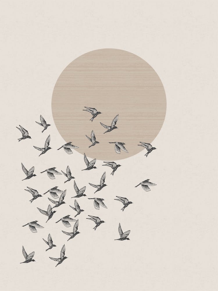 Neutral Bird Flock & Sun Art Print by NordicDesignHouse – Fy!