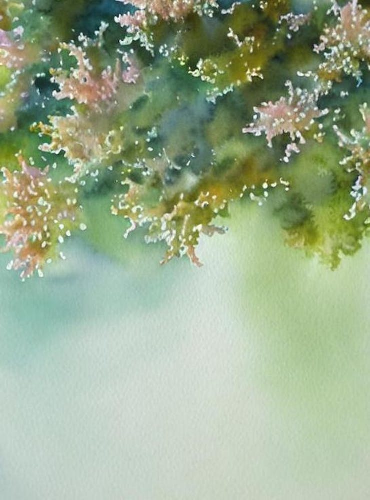 Acropora Tenella Ii Storybook Watercolour Art Print by Reef Reflections ...