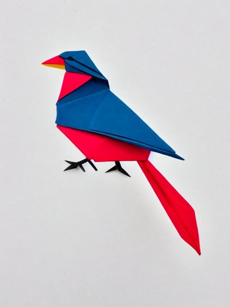 Chimney Swift Origami Bird Art Print by Featherline – Fy!