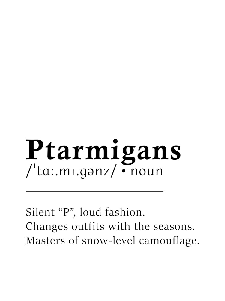 Ptarmigans Definition Poster - Dictionary Art Print by Fy!