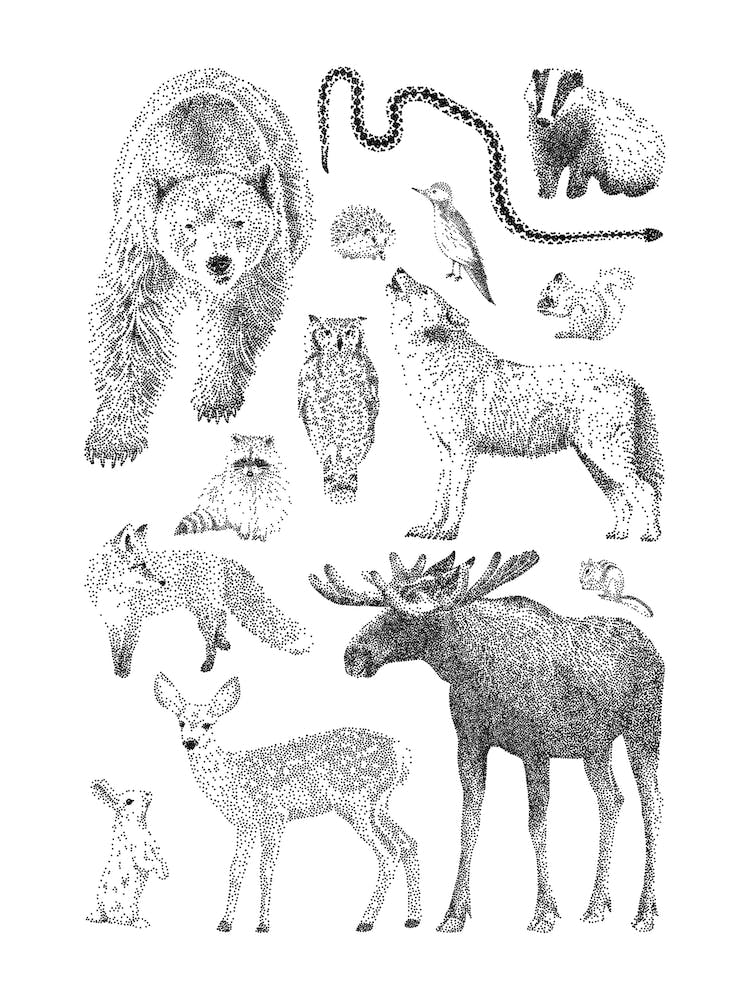 Woodland Animal Print Art Print by Bamber Prints – Fy!