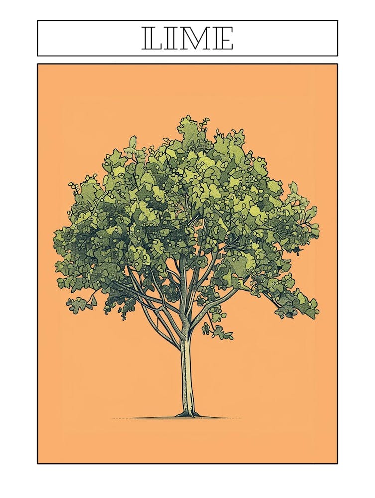 Lime Tree Minimalistic Drawing 2 Poster Art Print by Bough And Bloom ...