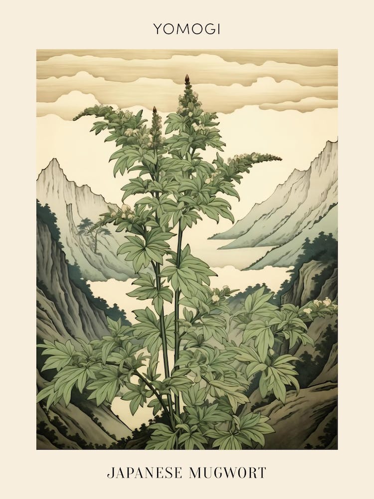 Yomogi Japanese Mugwort 2 Japanese Botanical Illustration Poster Art ...