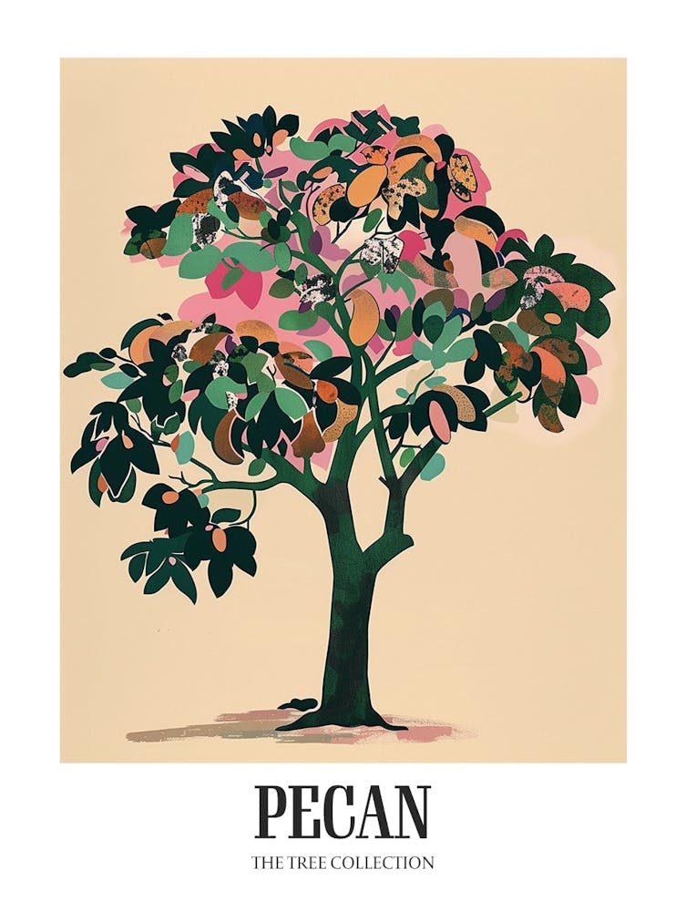 Pecan Tree Colourful Illustration 3 Poster Art Print by Bough And Bloom ...