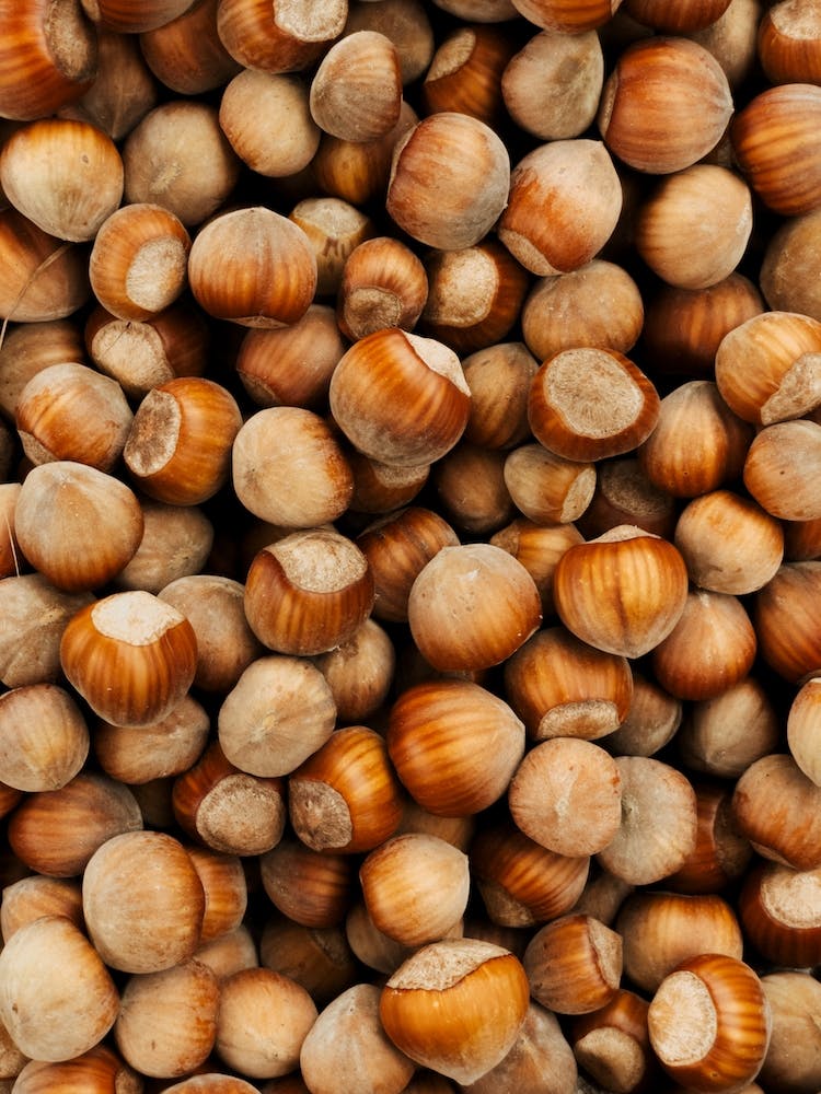Hazelnuts Art Print by Sebastian Hilgetag – Fy!