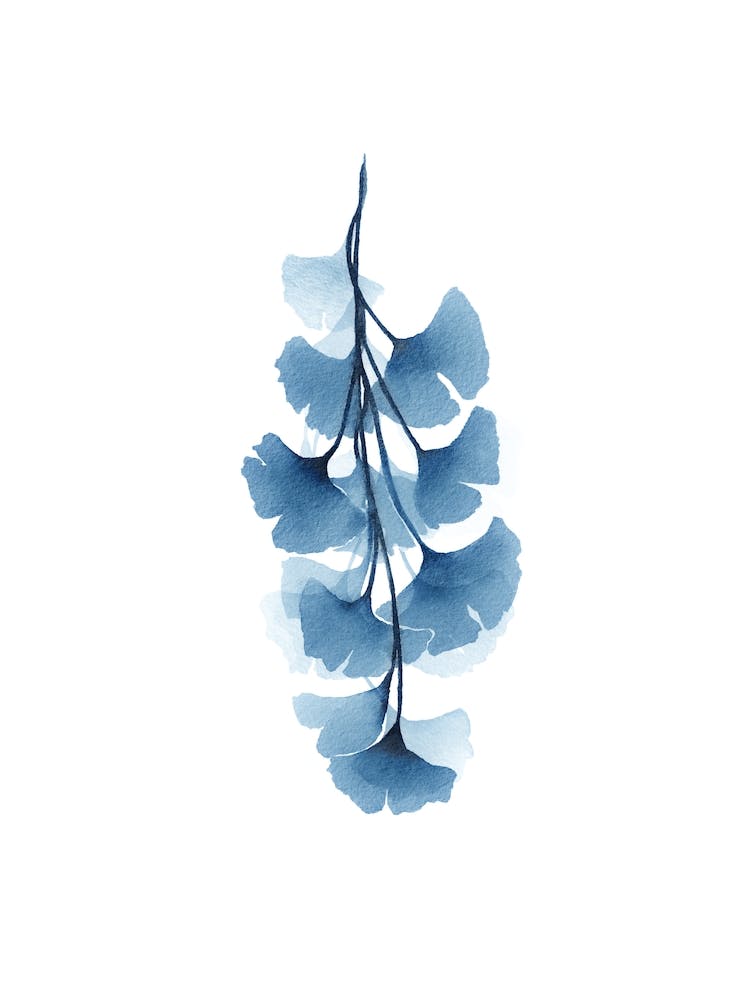 Blue Gingko 02 Art Print by Szafranscy Art Studio – Fy!