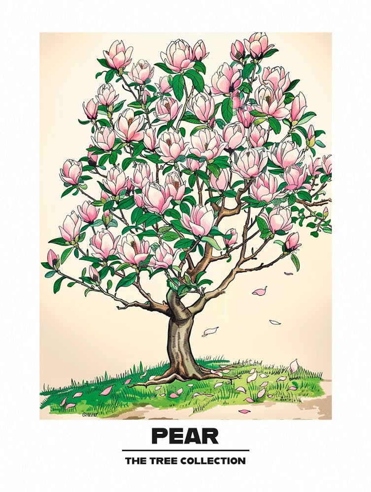 Pear Tree Storybook Illustration 3 Poster Art Print by Bough And Bloom ...
