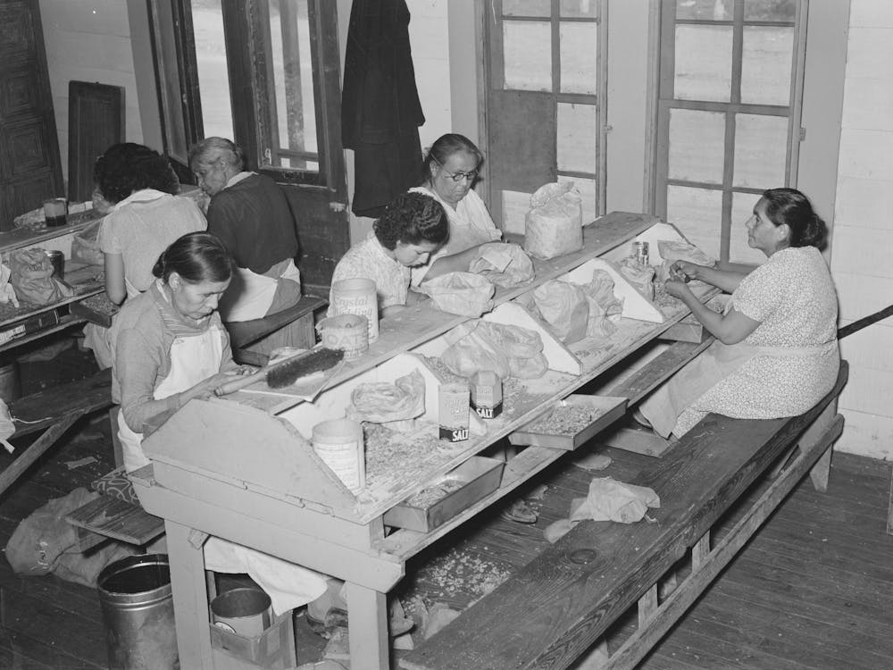 Mexican Pecan Shellers Removing Nuts From Shells, Non Union Plant, San ...