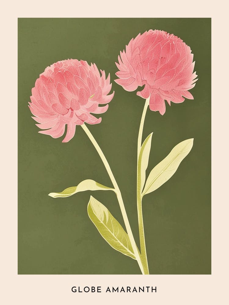 Pink & Green Globe Amaranth 3 Flower Poster Art Print by Botanic Studio ...