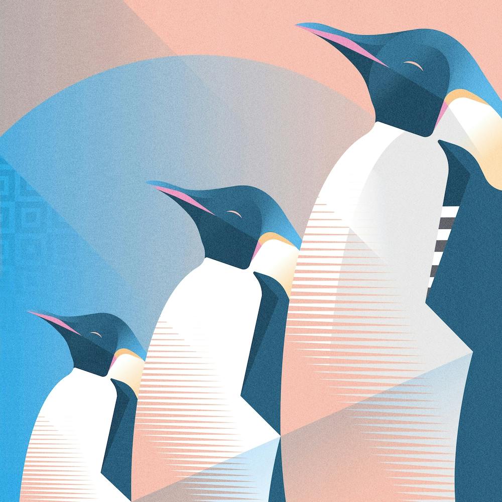 Emperor Penguin Square Art Print by Mark Harrison – Fy!